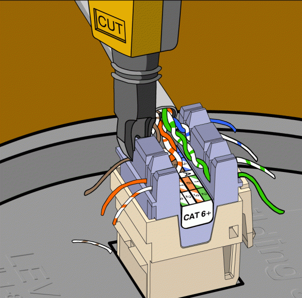 Network Wall Socket Wiring Diagram Network Wall Socket Wiring Diagram